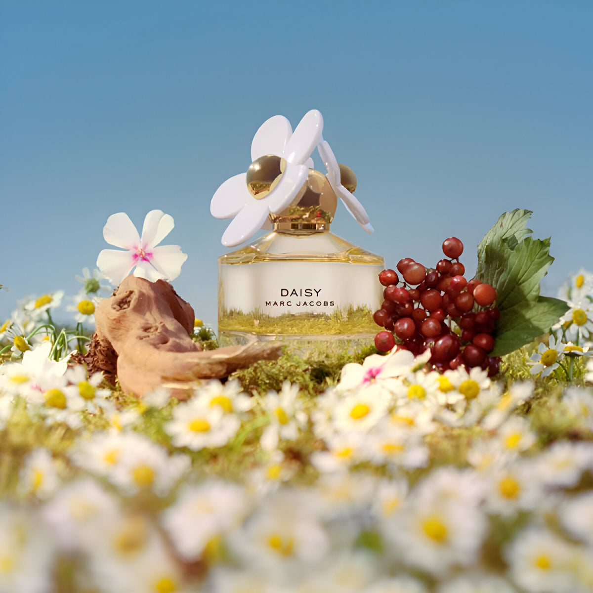 Marc Jacobs Mini Set For Women | My Perfume Shop New Zealand