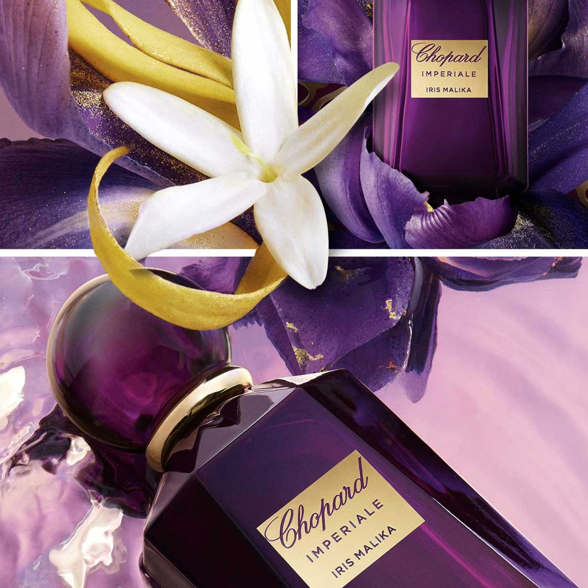 Shop Chopard Imperial Iris Malika EDP in New Zealand