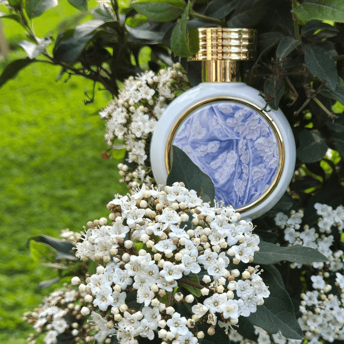 Shop HFC Chic Blossom EDP in New Zealand