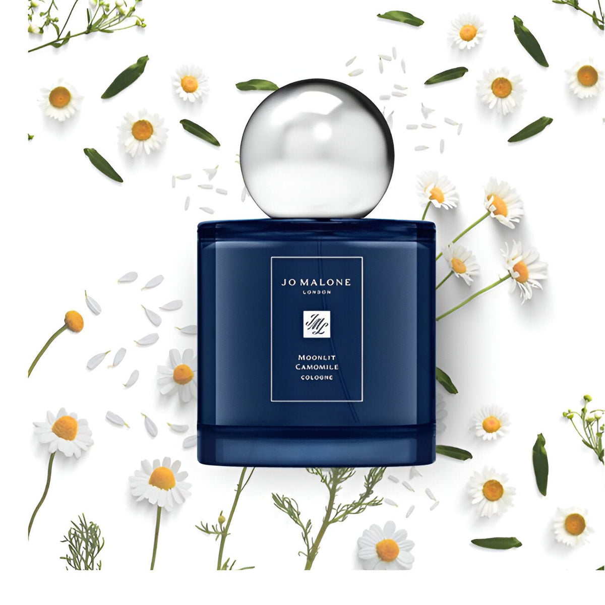 Shop Jo Malone Moonlit Camomile Cologne in New Zealand