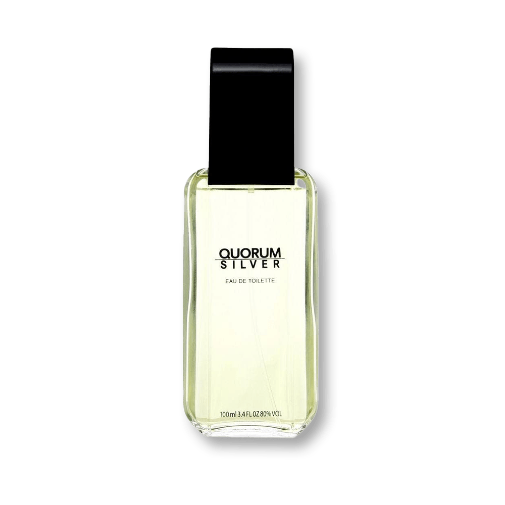 Shop Antonio Puig Quorum Silver EDT For Men 100ml | My Perfume Shop New ...
