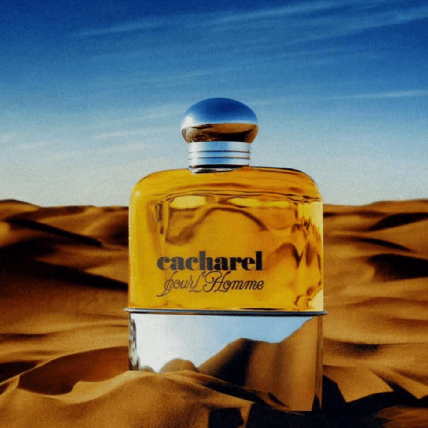 Shop Cacharel Pour Homme EDT | My Perfume Shop New Zealand