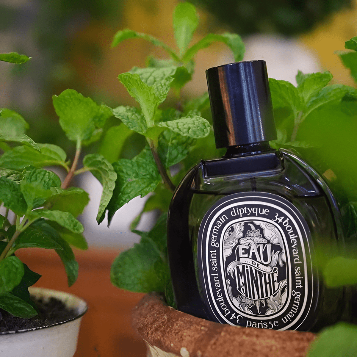 Shop Diptyque Eau De Minthe EDP in New Zealand